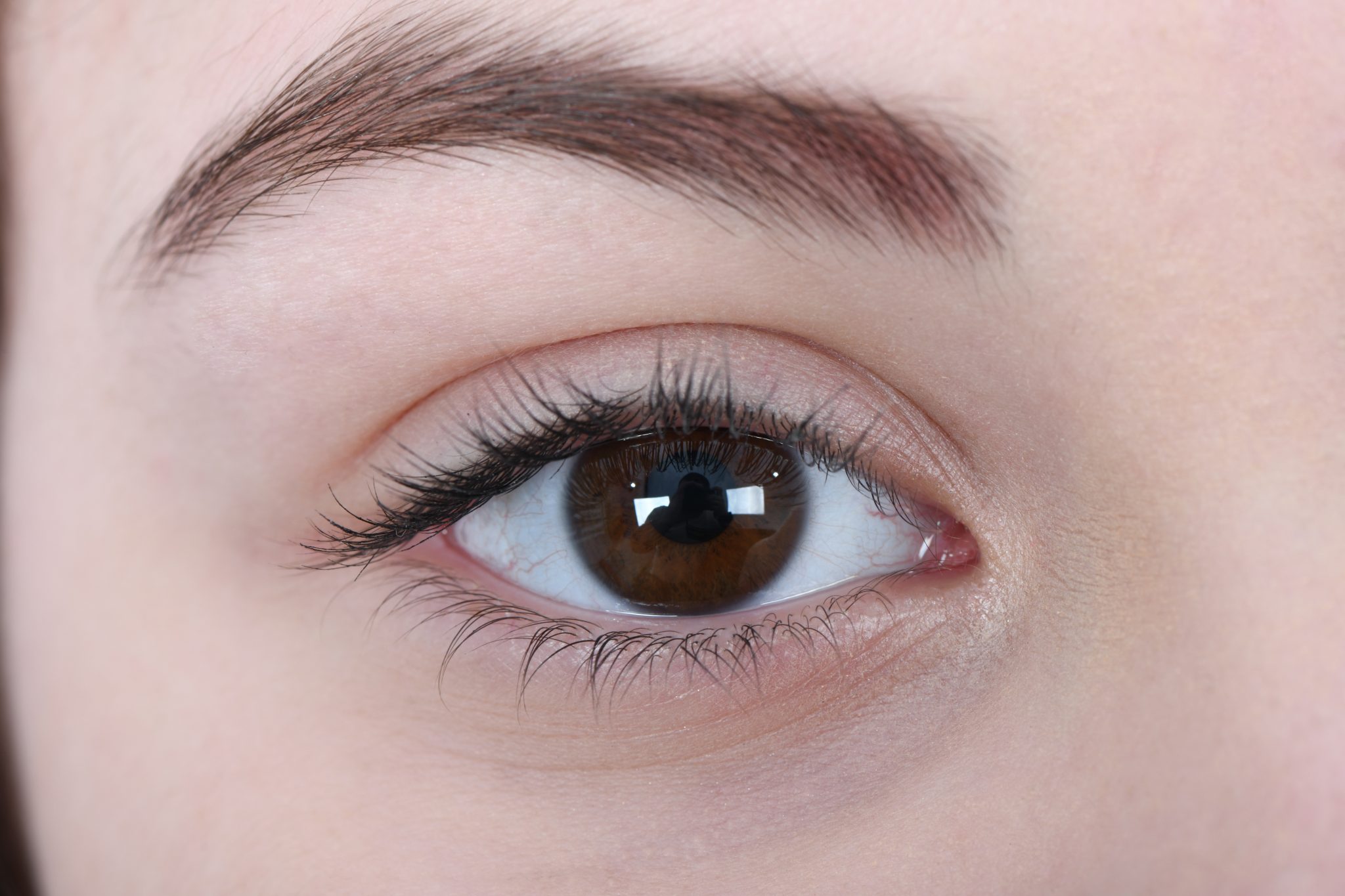 LE TRAITEMENT DES CERNES